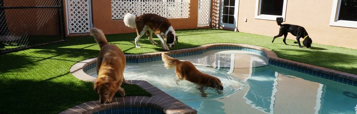 Artificial Pet Turf Installation Services Houston TX — Go-Turf