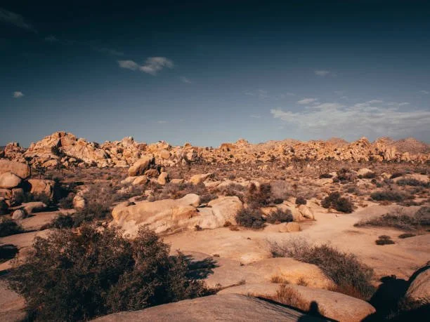 The 15 Best Things to Do in Yucca Valley - 2023 — Arrive