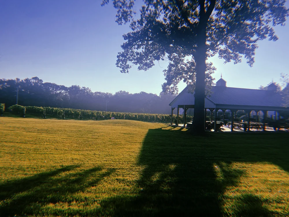 About — Barn at 678