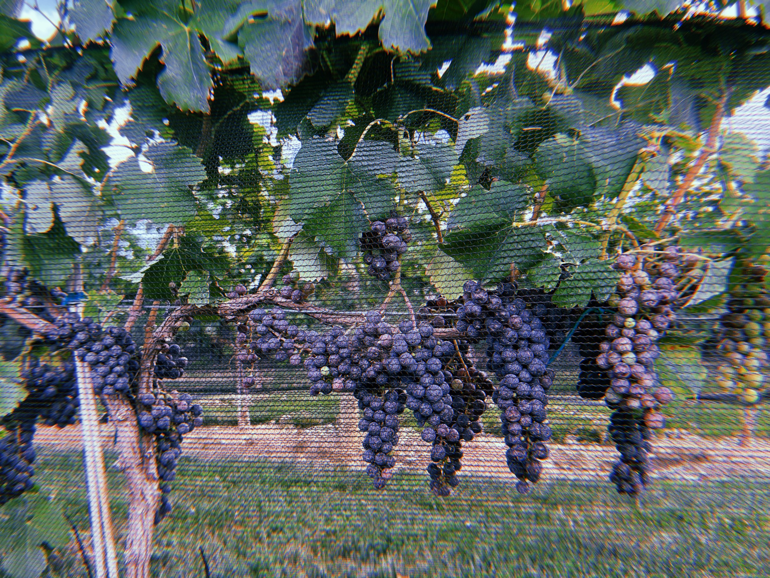 About — Barn at 678