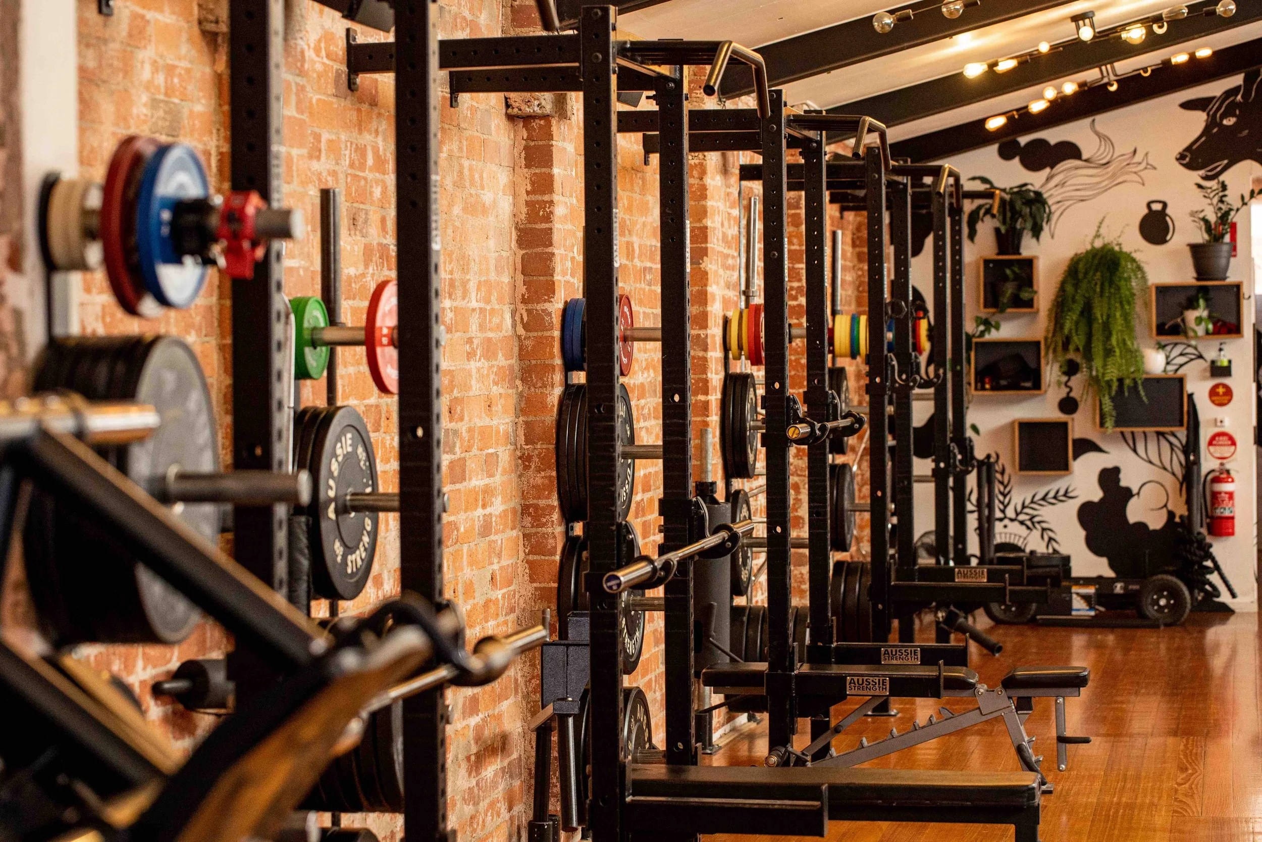 Collingwood — Project Better