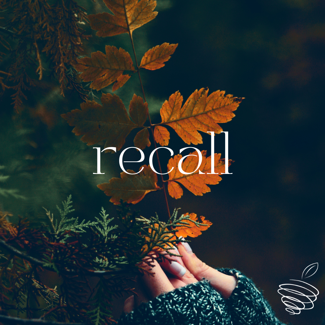 Recall — Nourishing Storm