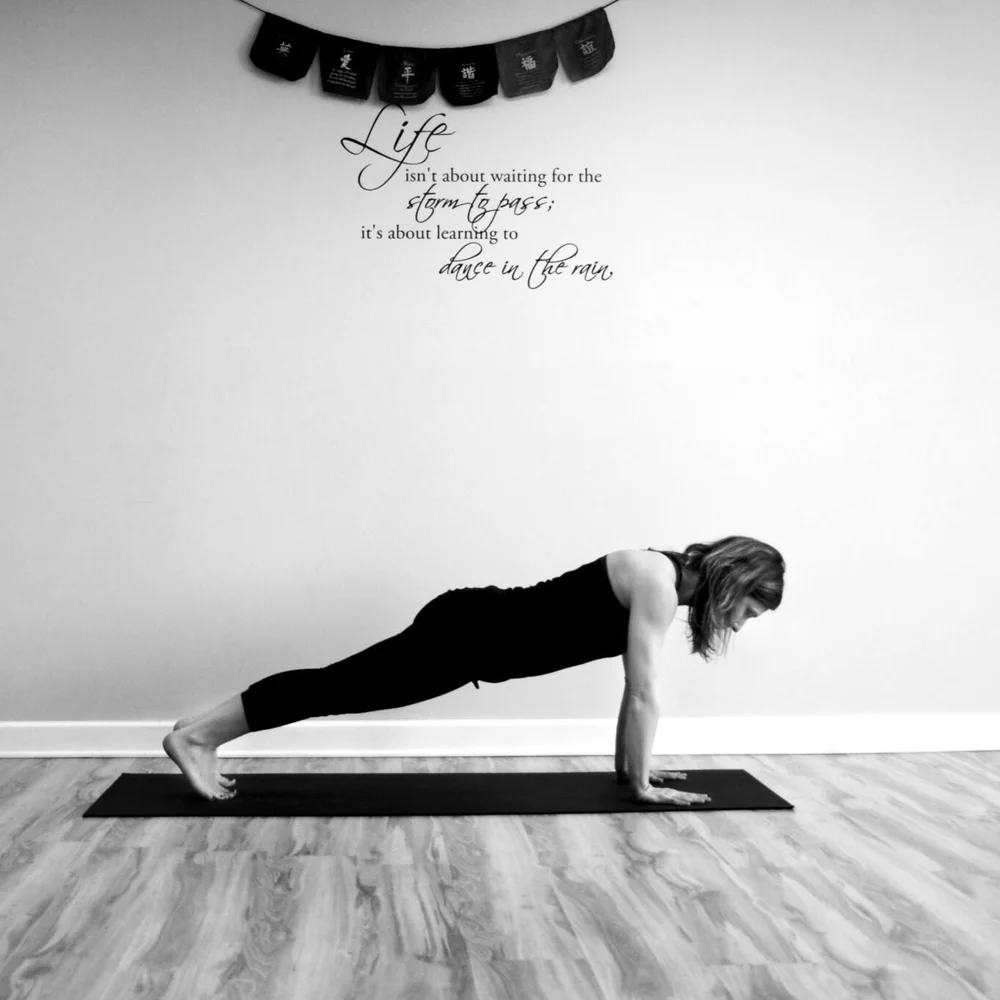 Plank Pose - Kumbhakasana — Nourishing Storm