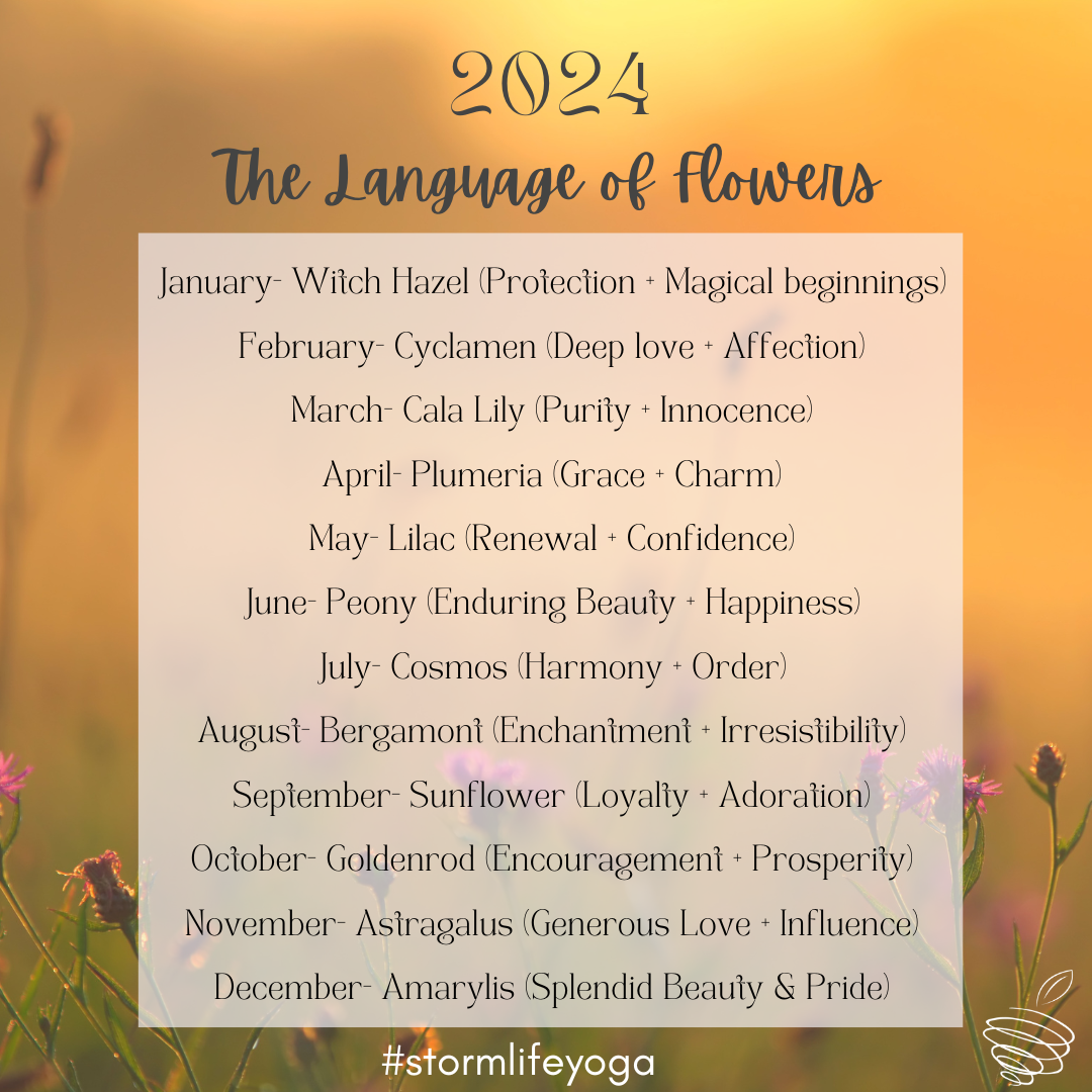 Our 2024 Themes: “The Language of Flowers” — Nourishing Storm