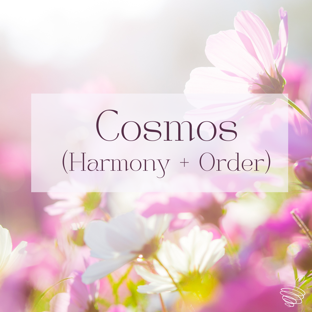 Cosmos {Harmony + Order} — Nourishing Storm