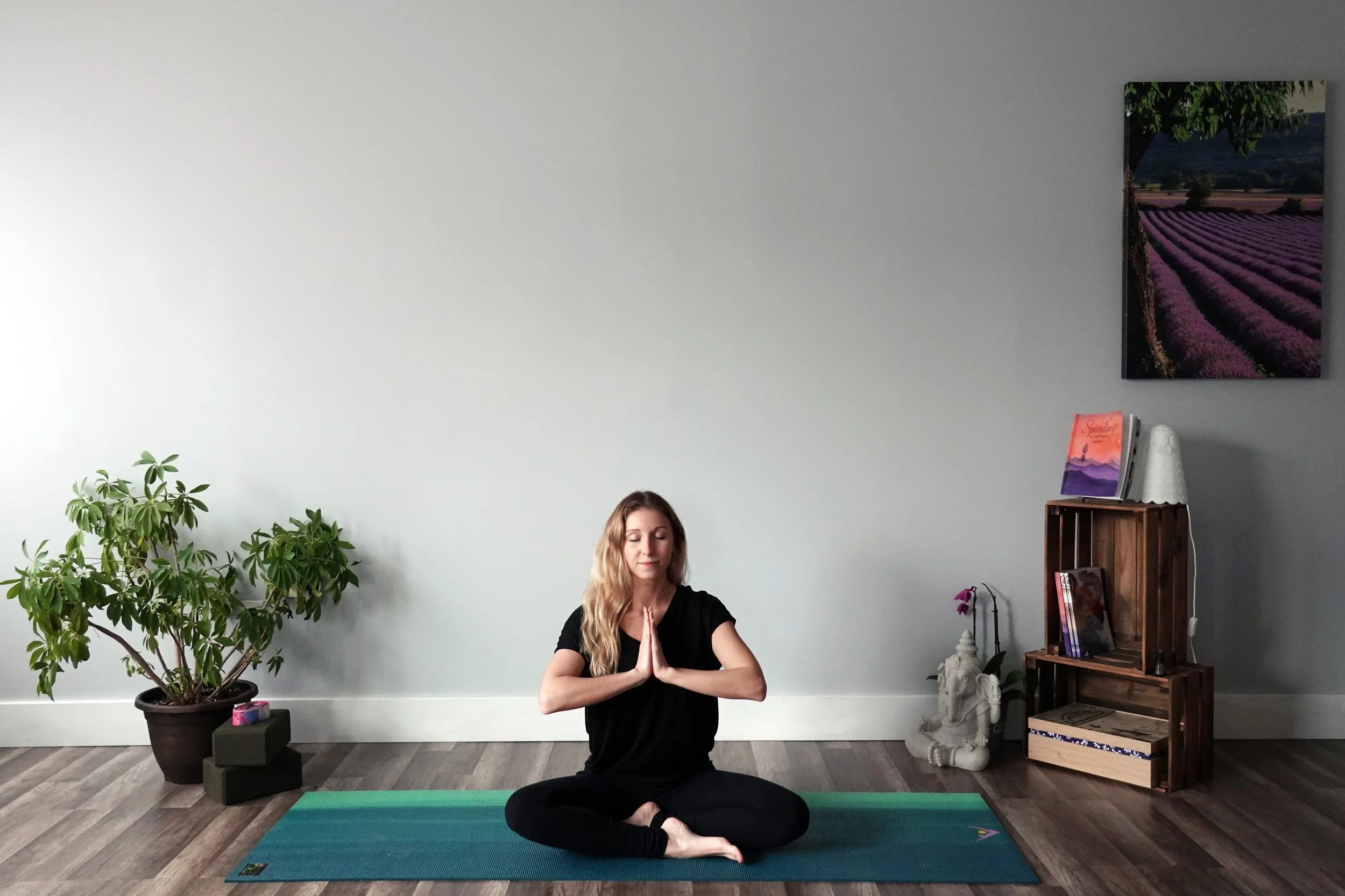 Shannon Gallagher | Nourishing Storm Yoga & Wellness Studio in Hatboro, PA