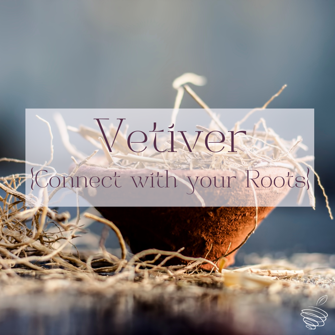 Vetiver {Connect with your Roots} — Nourishing Storm