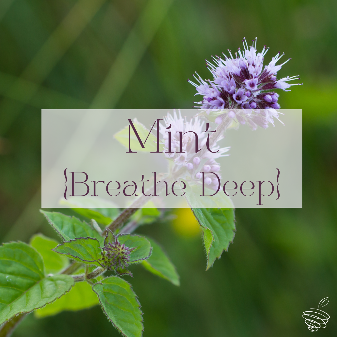 Mint {Breathe Deep} — Nourishing Storm