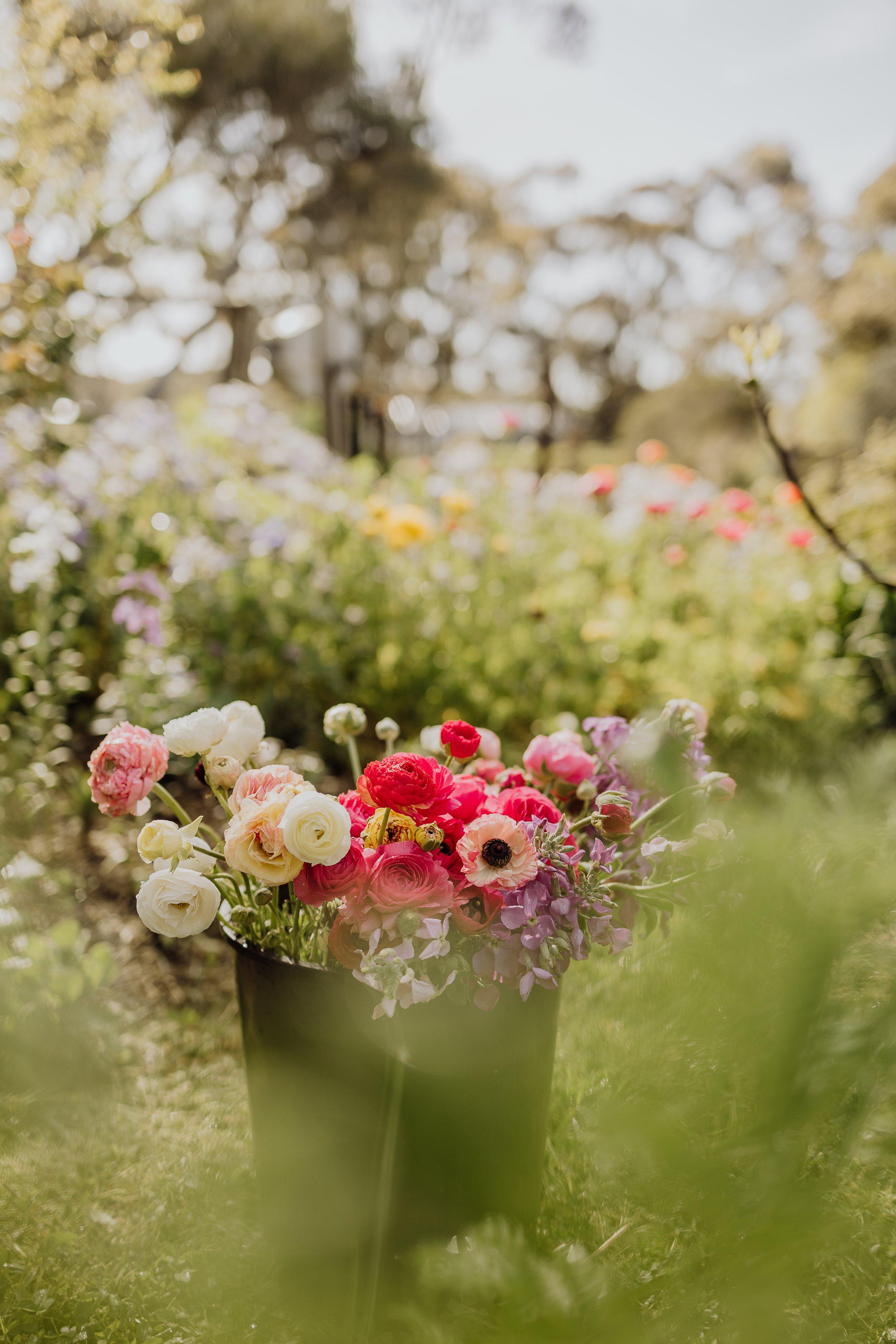 Aga Jones Flowers