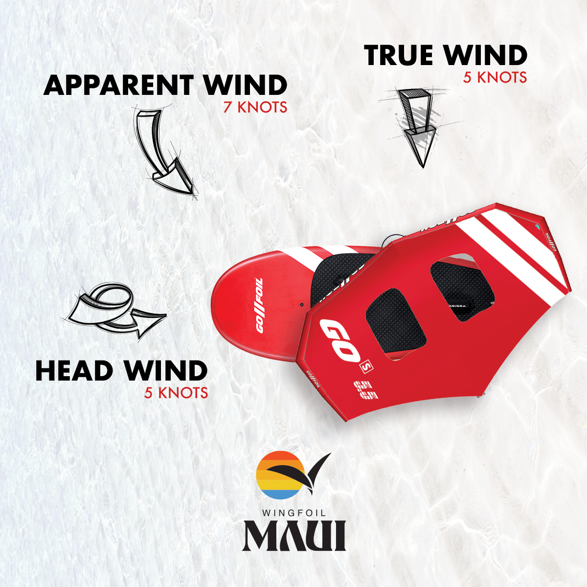 Terms — Wing Foil Maui