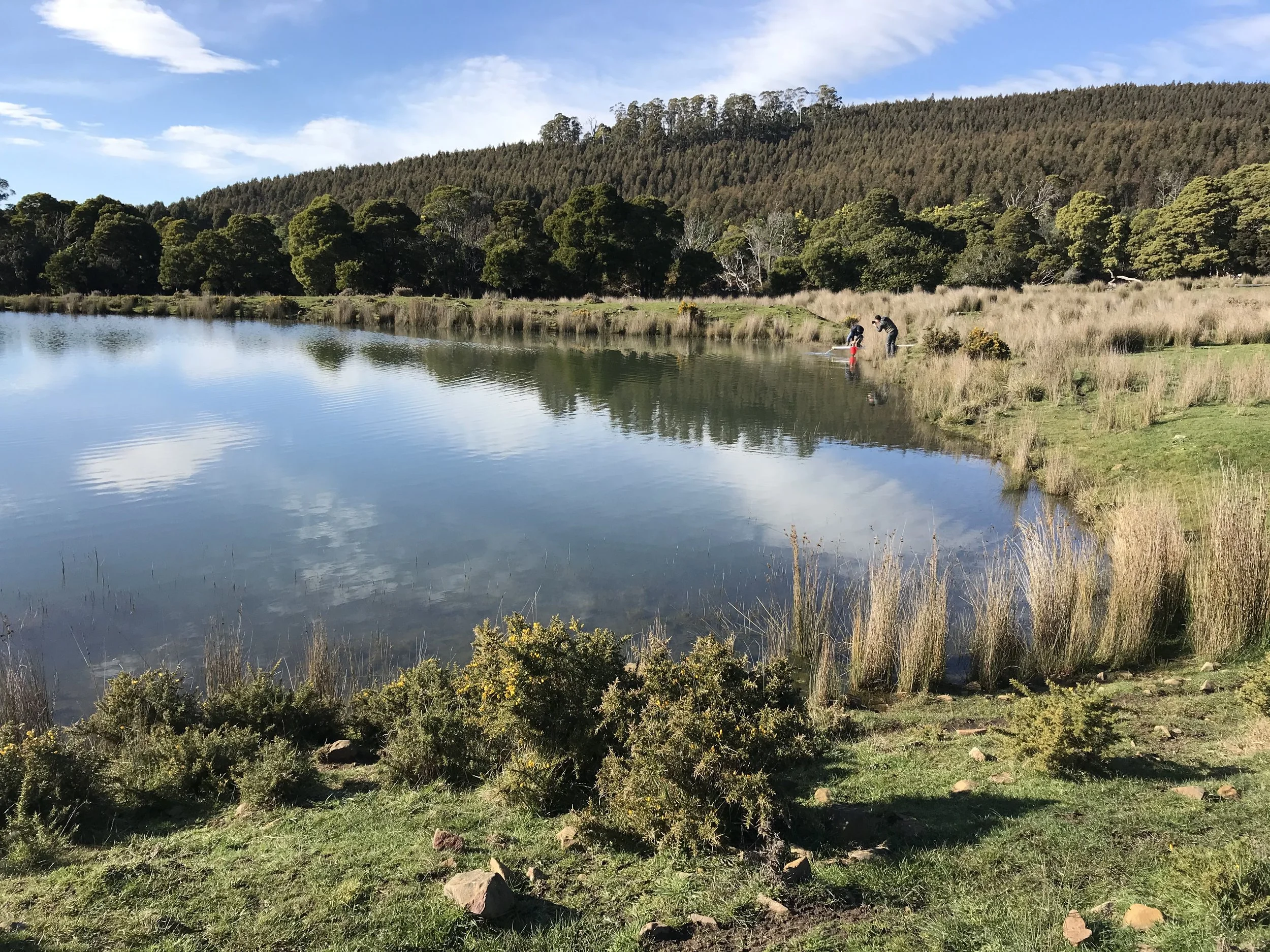 Freshwater Report Cards — Tamar Estuary and Esk Rivers Program