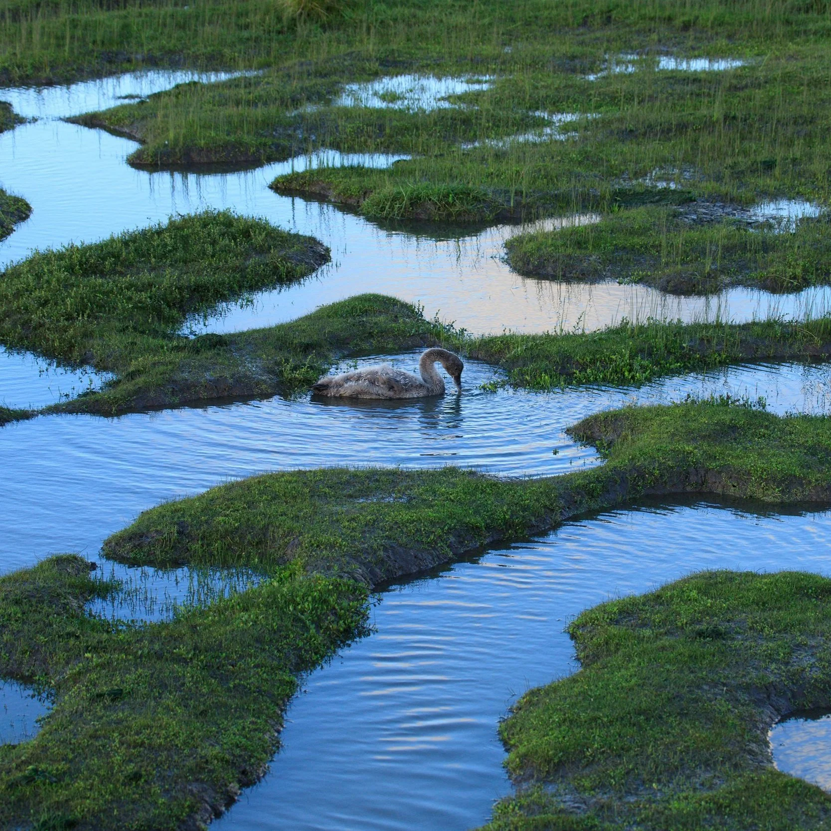 About the TEER Program — Tamar Estuary and Esk Rivers Program