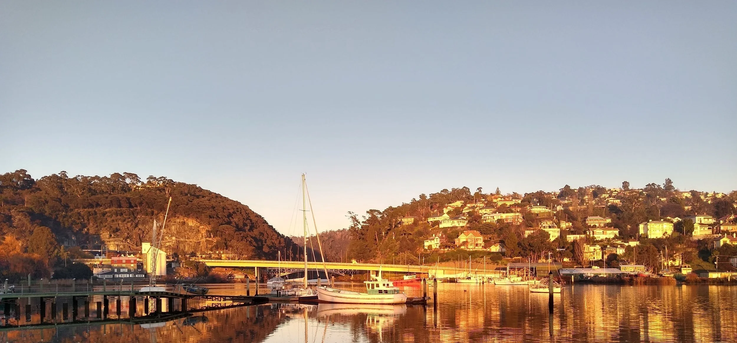 Natural history — Tamar Estuary and Esk Rivers Program