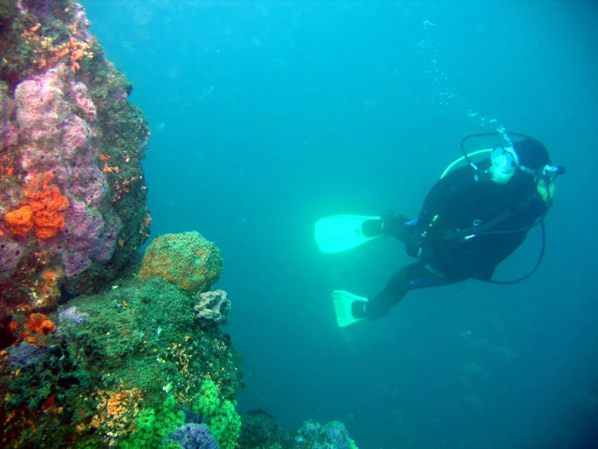 Natural history — Tamar Estuary and Esk Rivers Program