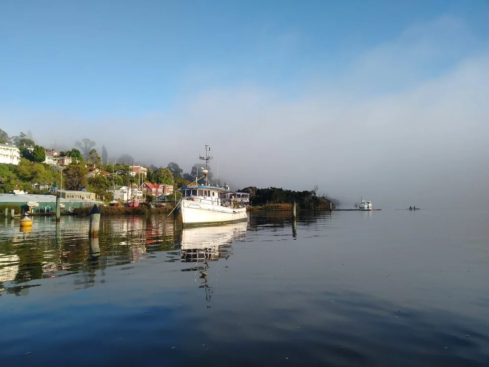 Water Sensitive Urban Design — Tamar Estuary and Esk Rivers Program