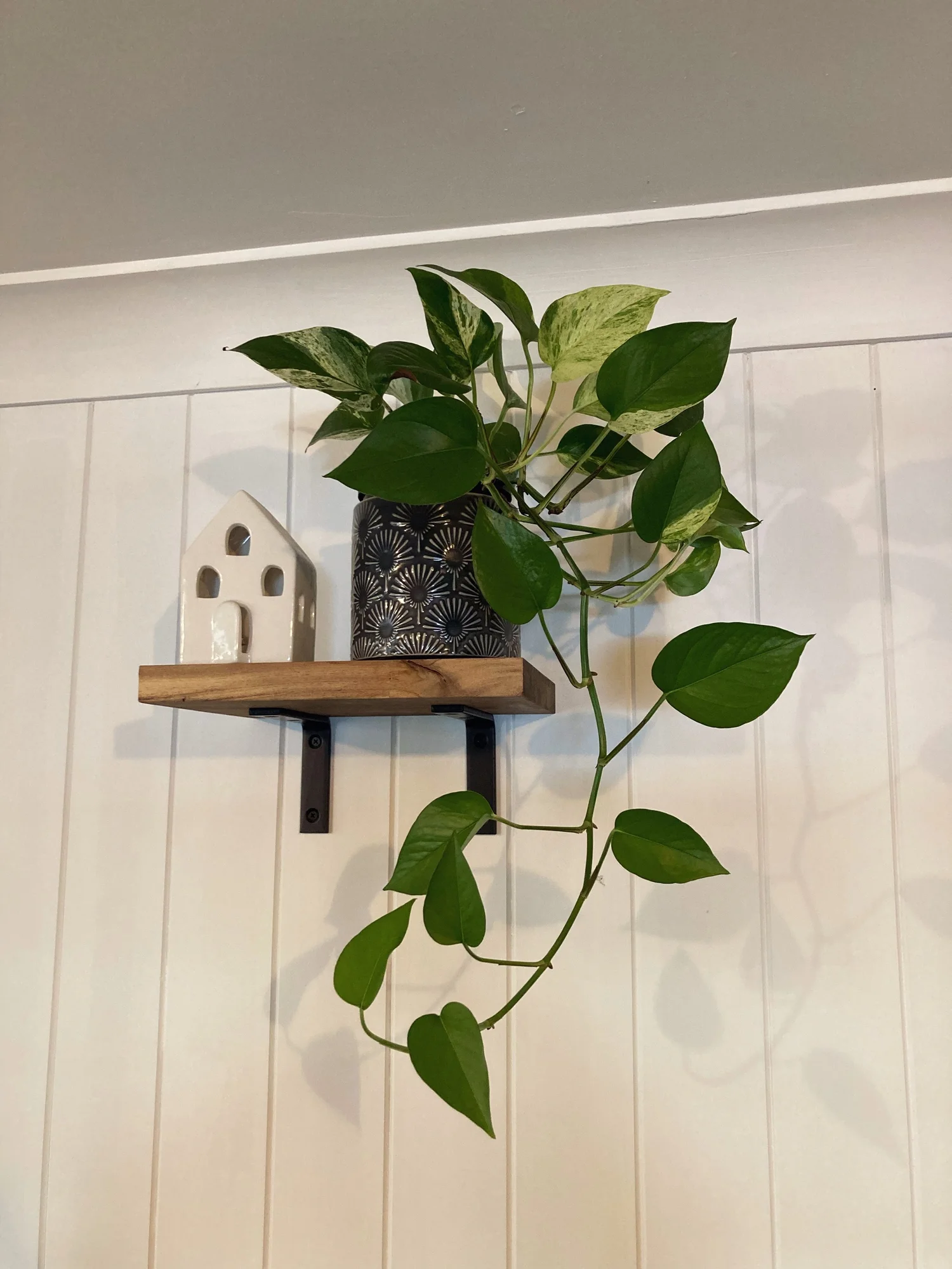 Lotus Health and Psychology