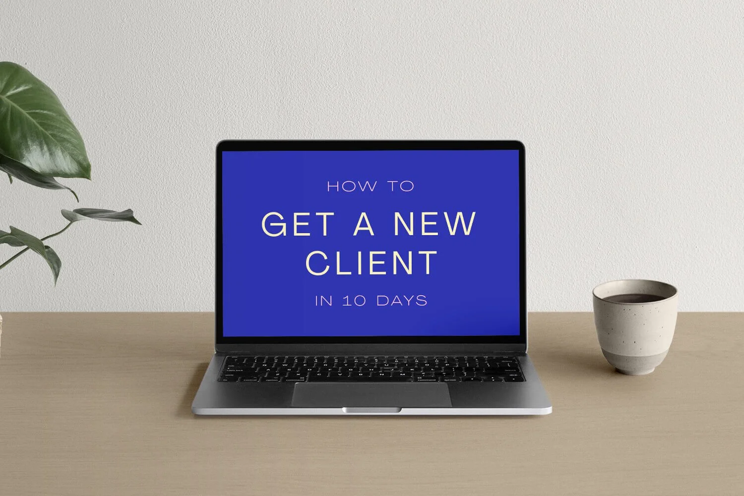 Business Mentor for Web Designers — Danbee Shin