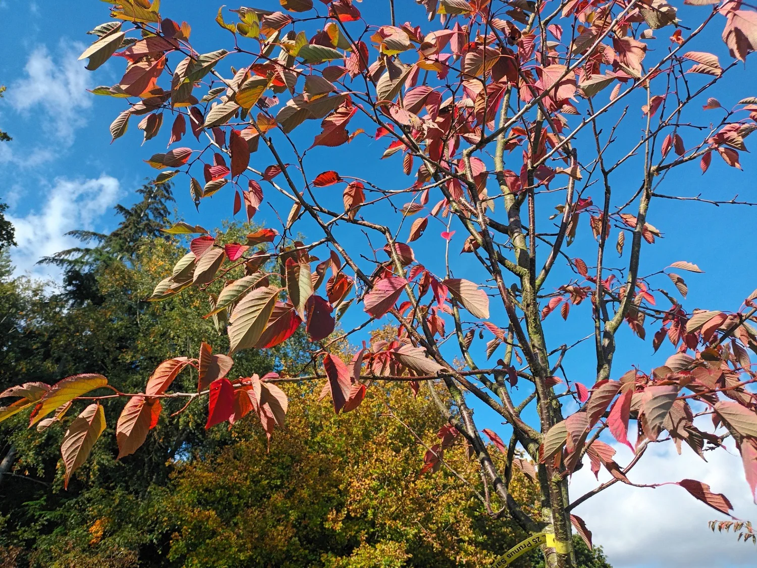 Discover Autumn Colour | Itchen Valley Country Park