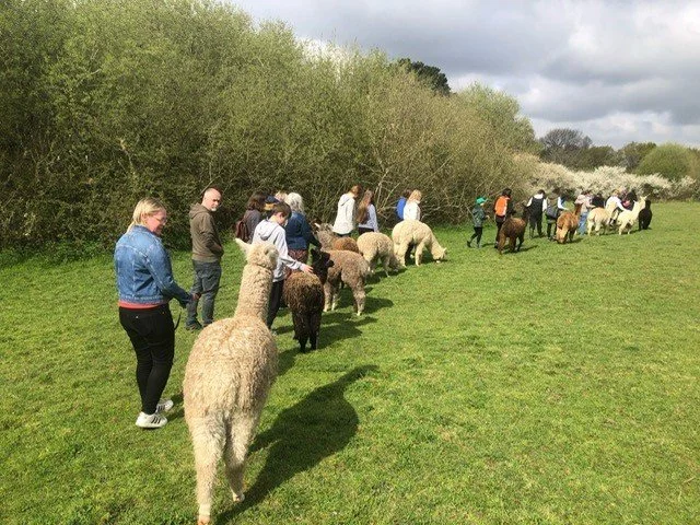 Things to do | Itchen Valley Country Park