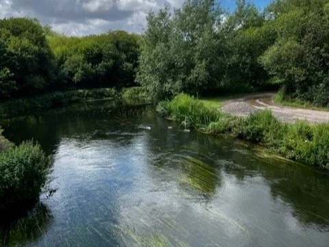 Nature, wildlife and heritage | Itchen Valley Country Park