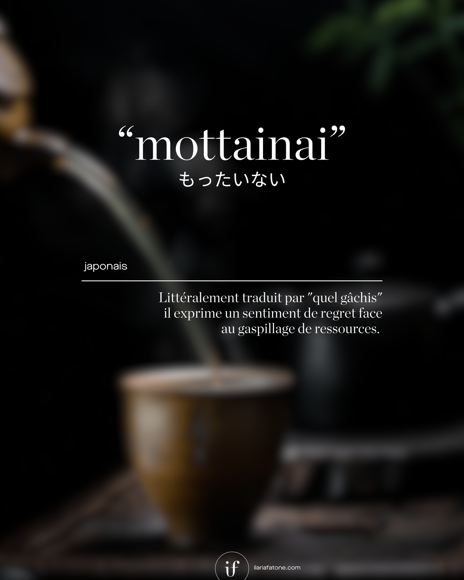 Mottainai, le concept japonais de respect et durabilité — Ilaria Fatone ...