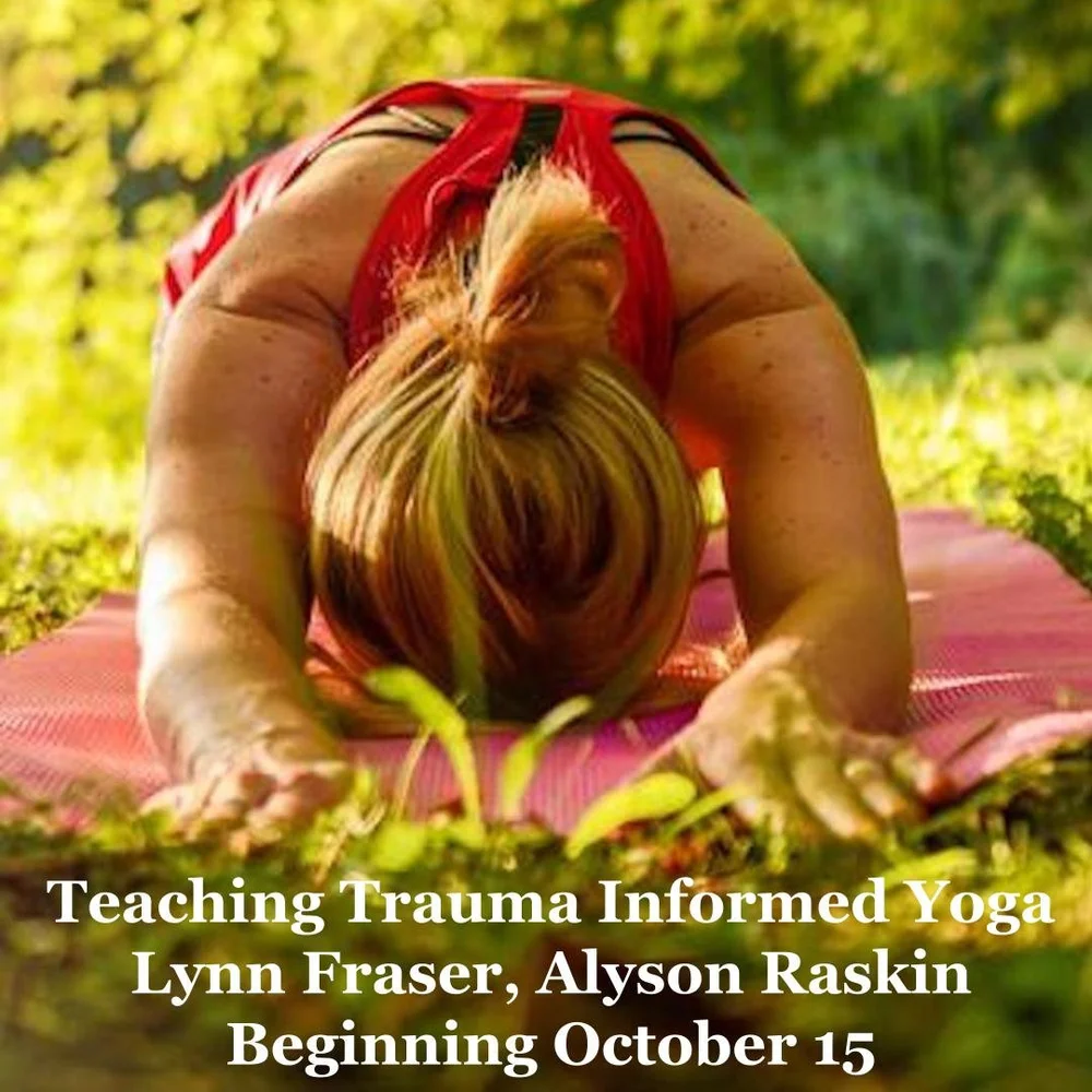 Live Group Courses — Lynn Fraser Stillpoint
