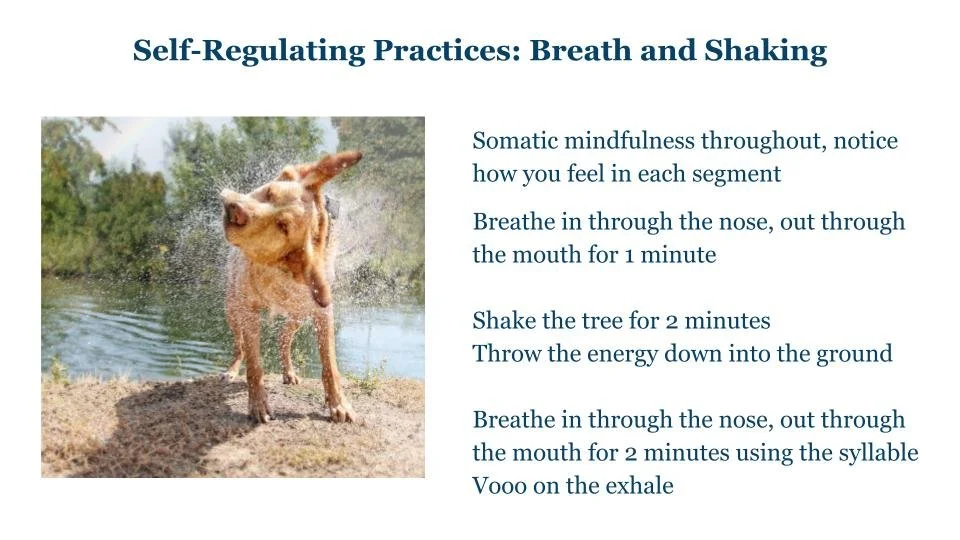 30 Go-To Practices — Lynn Fraser Stillpoint