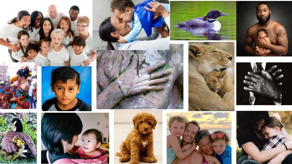 Healing Ordinary Trauma ebook — Lynn Fraser Stillpoint