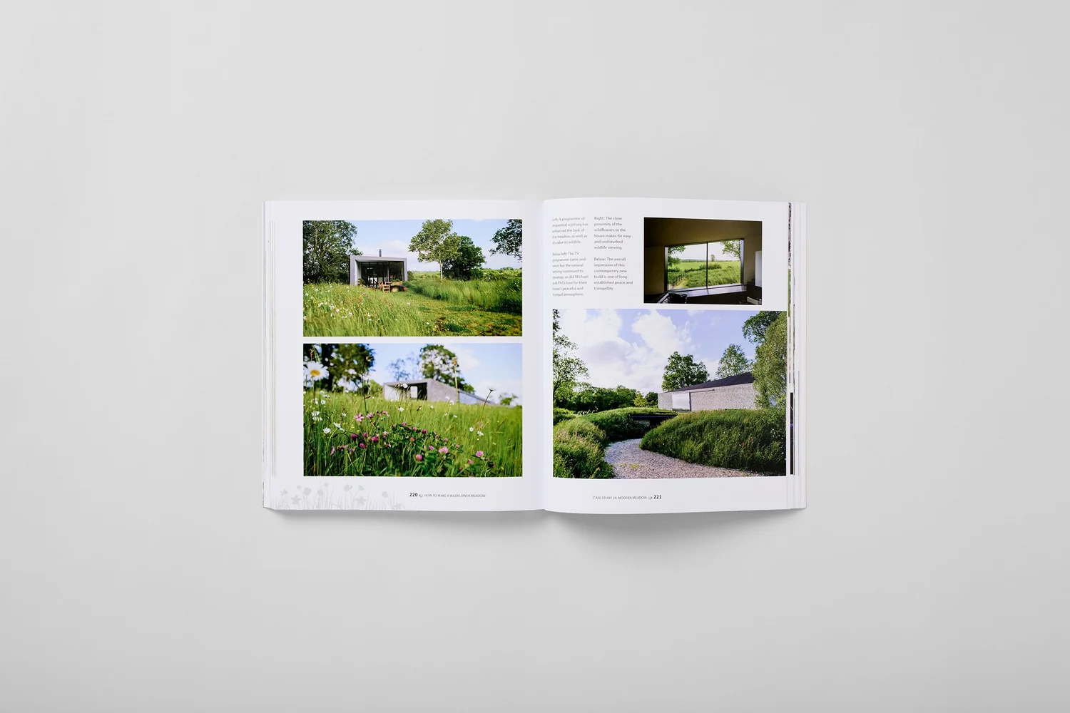 How to Make a Wildflower Meadow — A Practical Guide — Filbert Press