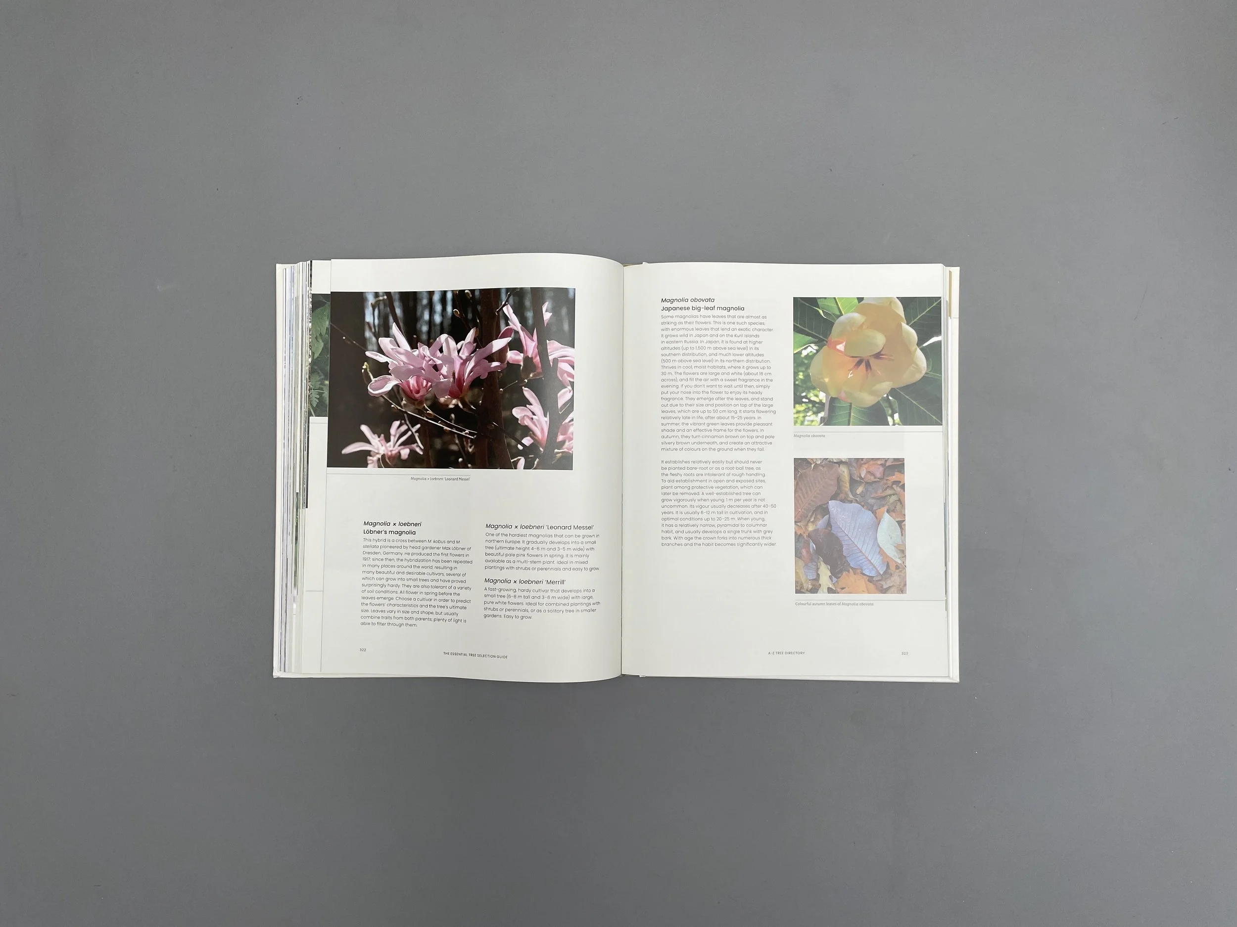 The Essential Tree Selection Guide — Filbert Press