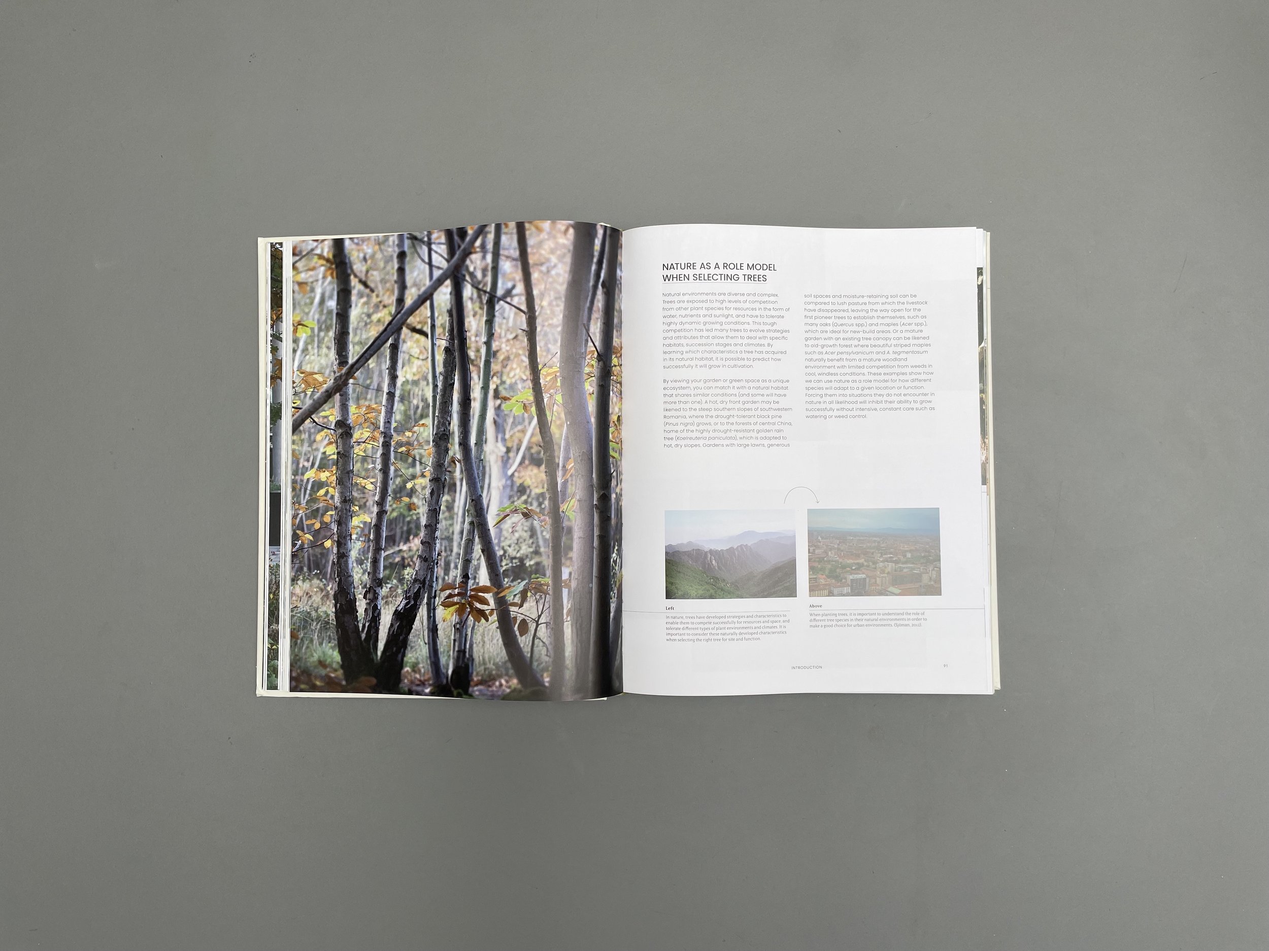 The Essential Tree Selection Guide — Filbert Press The Essential Tree Selection Guide — Filbert Press