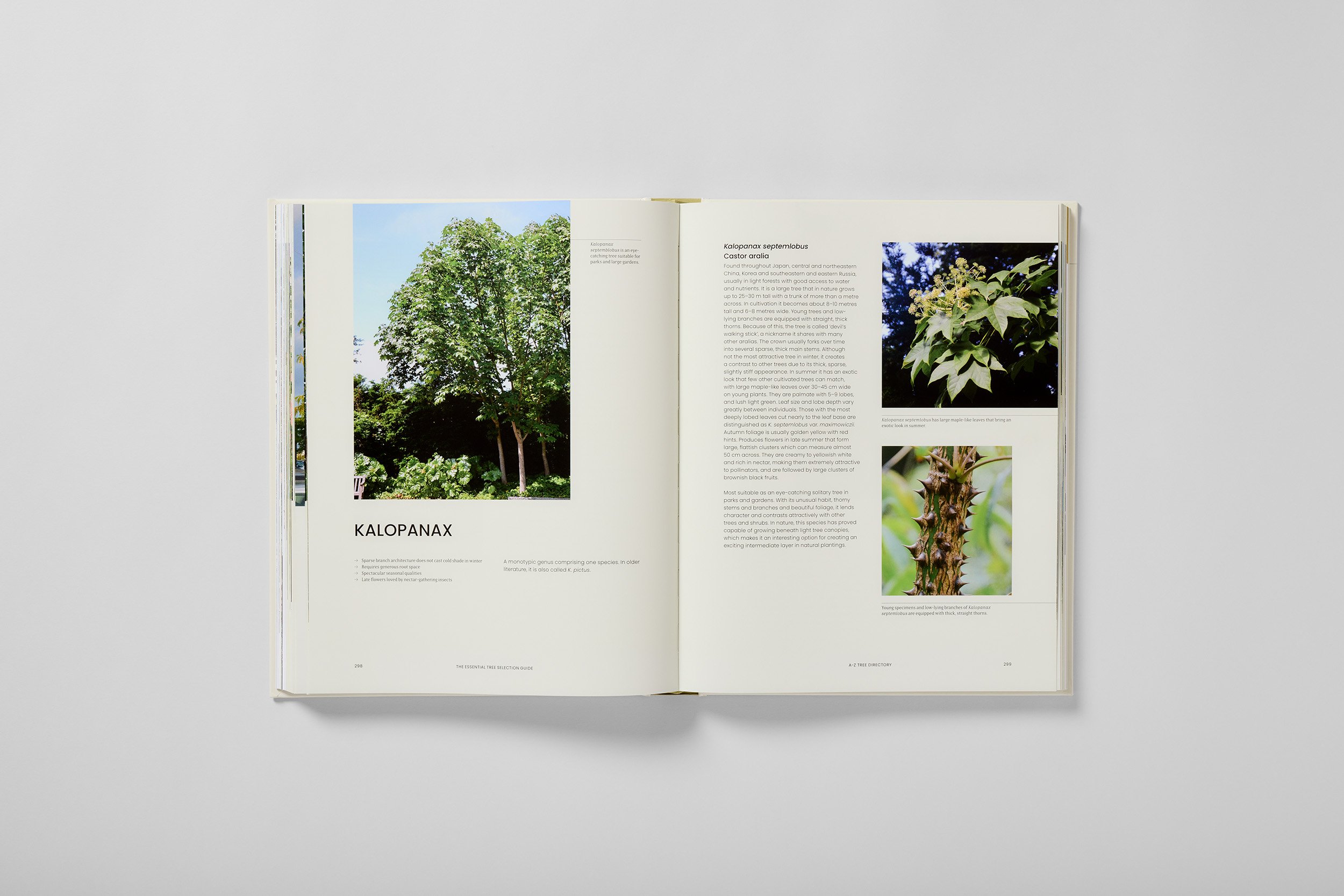 The Essential Tree Selection Guide — Filbert Press