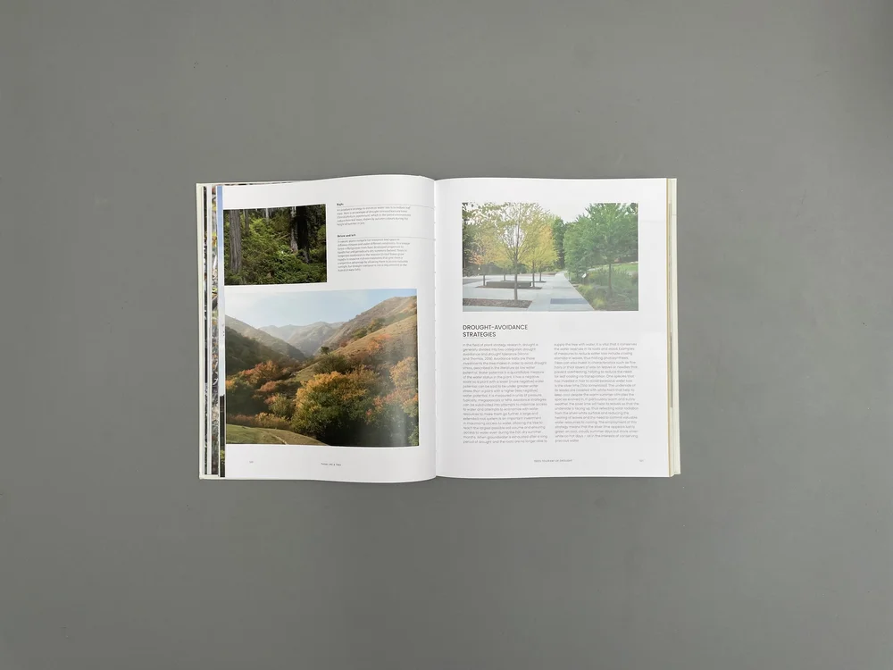 The Essential Tree Selection Guide — Filbert Press