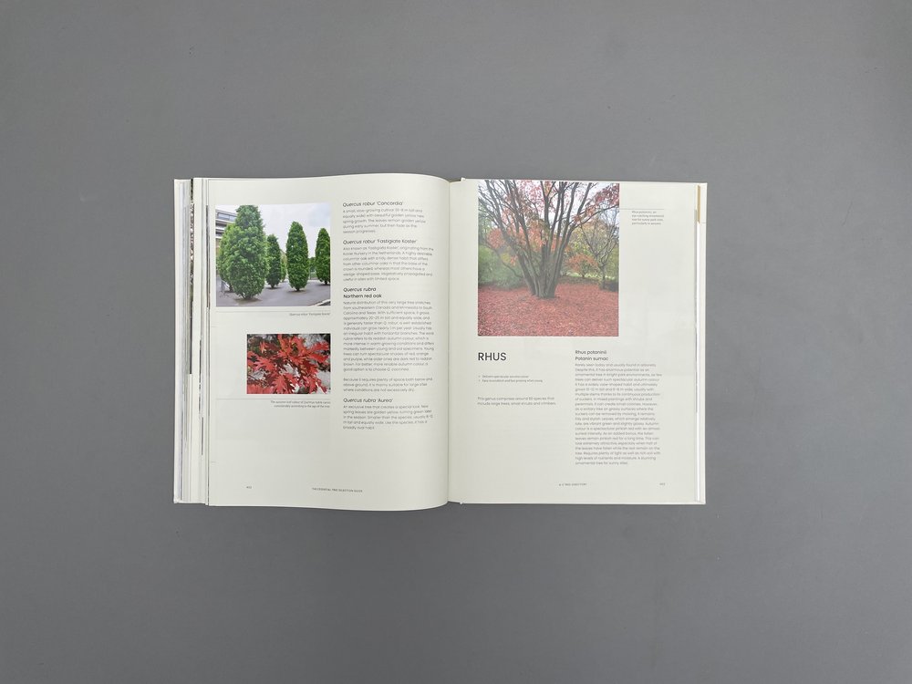 The Essential Tree Selection Guide — Filbert Press The Essential Tree Selection Guide — Filbert Press