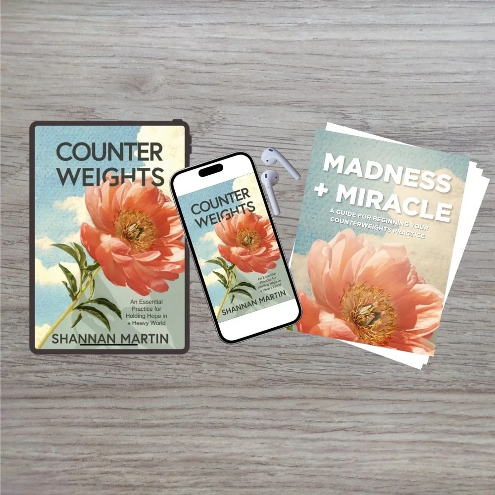 Counterweights — Shannan Martin