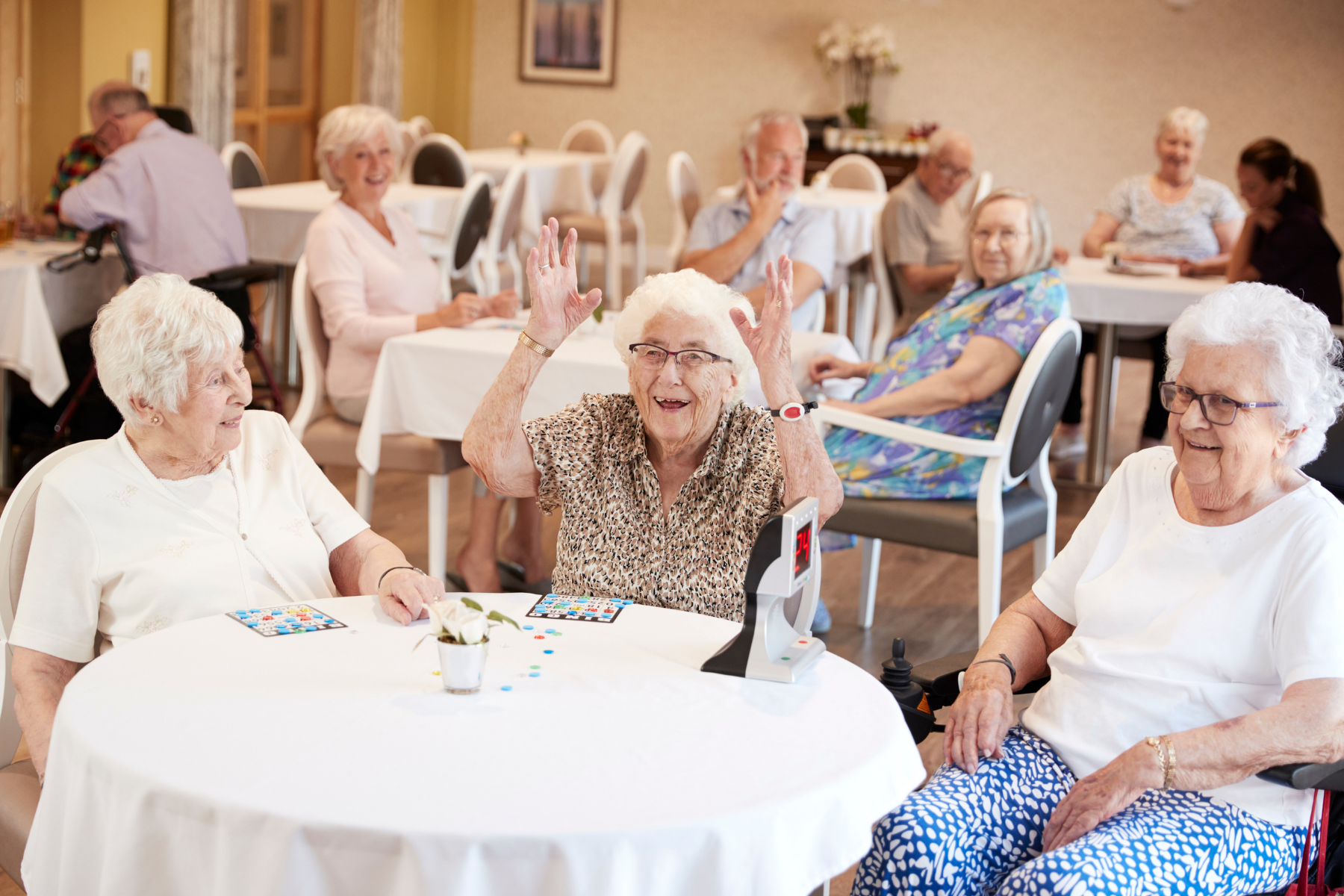 Seva Senior Living