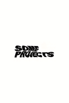 Some Projects | Designer Portfolio — Lex Studio Collective
