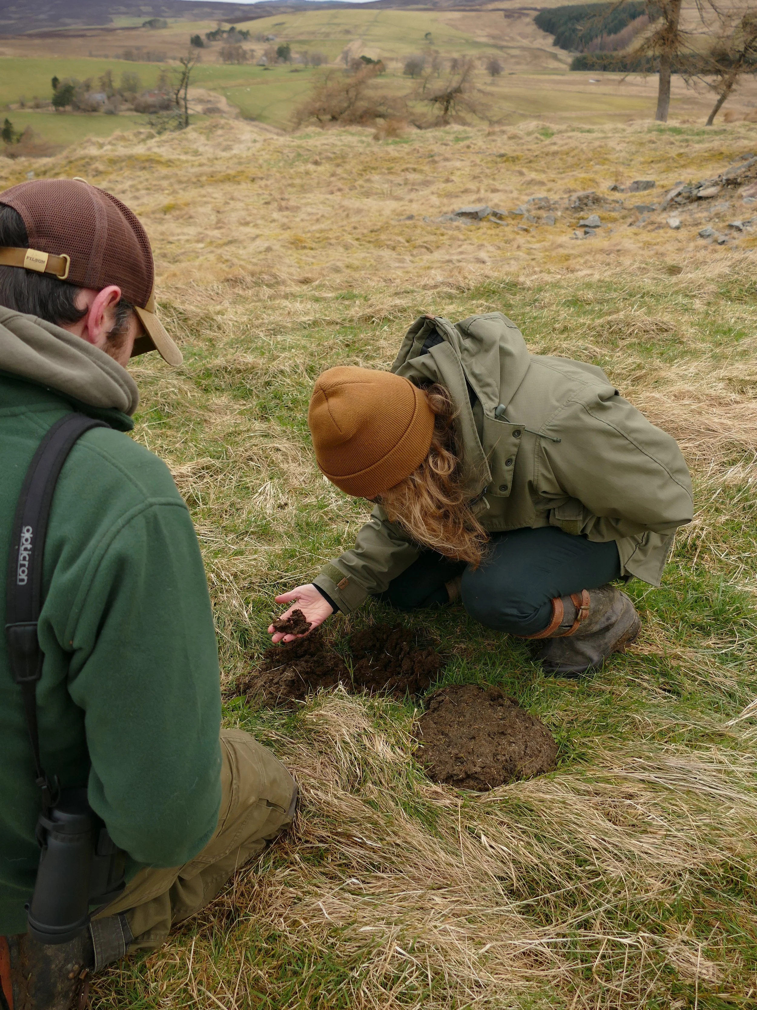 Biodiversity — Highlands Rewilding