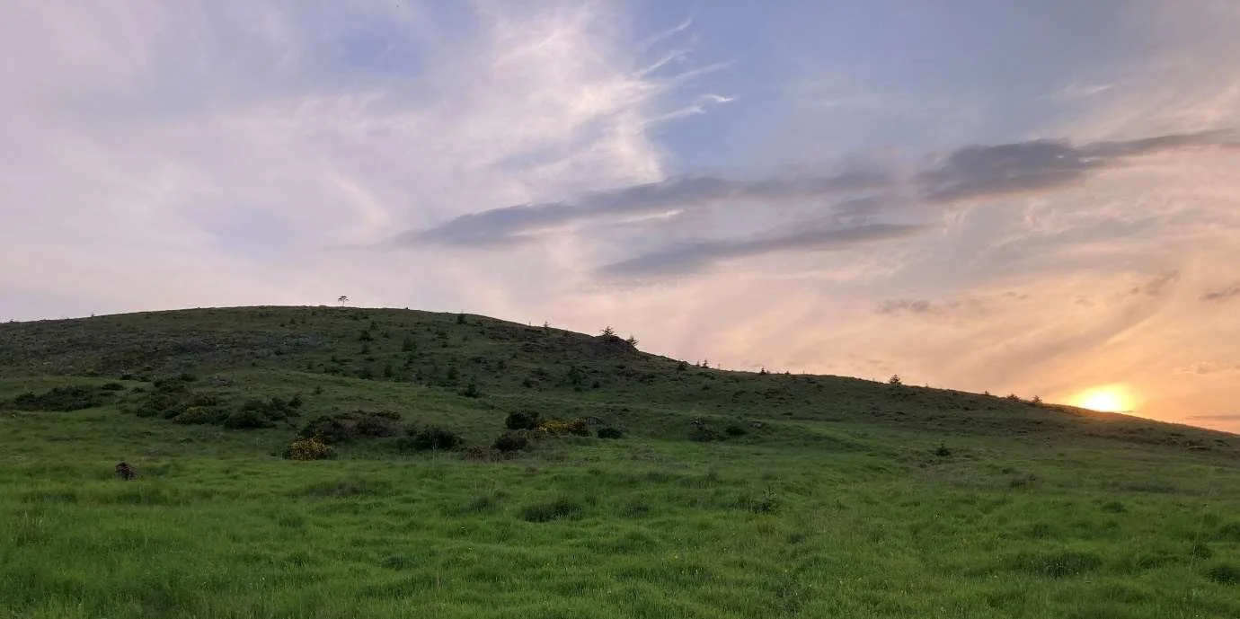 The Land Behind the Data — Highlands Rewilding