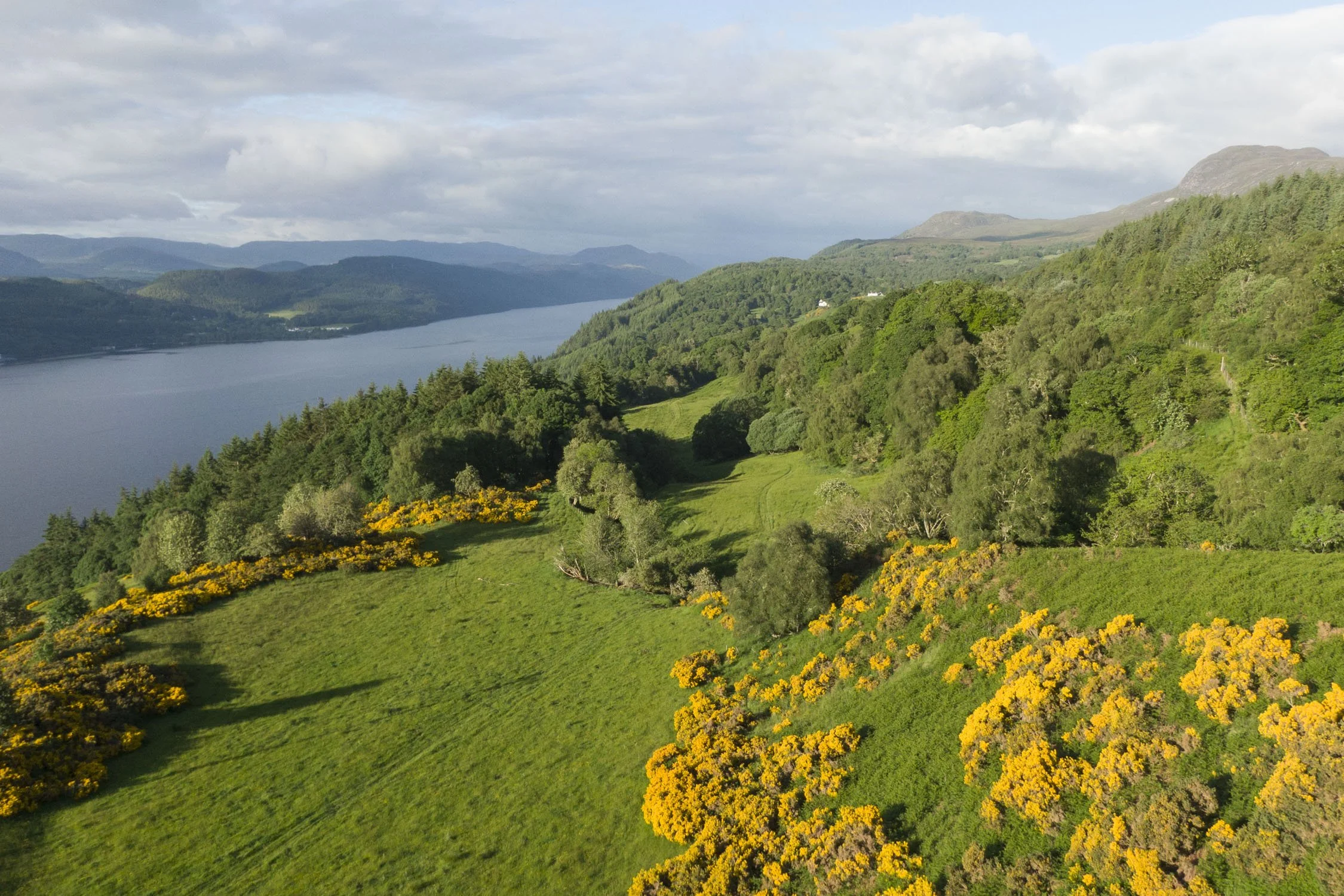 Bunloit Estate — Highlands Rewilding
