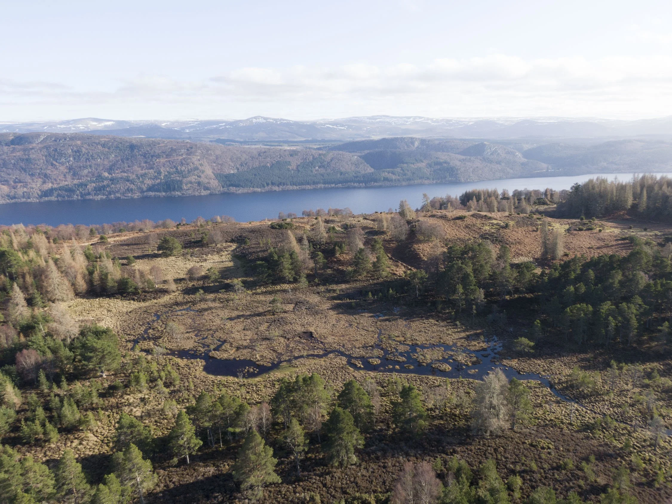 Highlands Rewilding - Rewilding Scotland