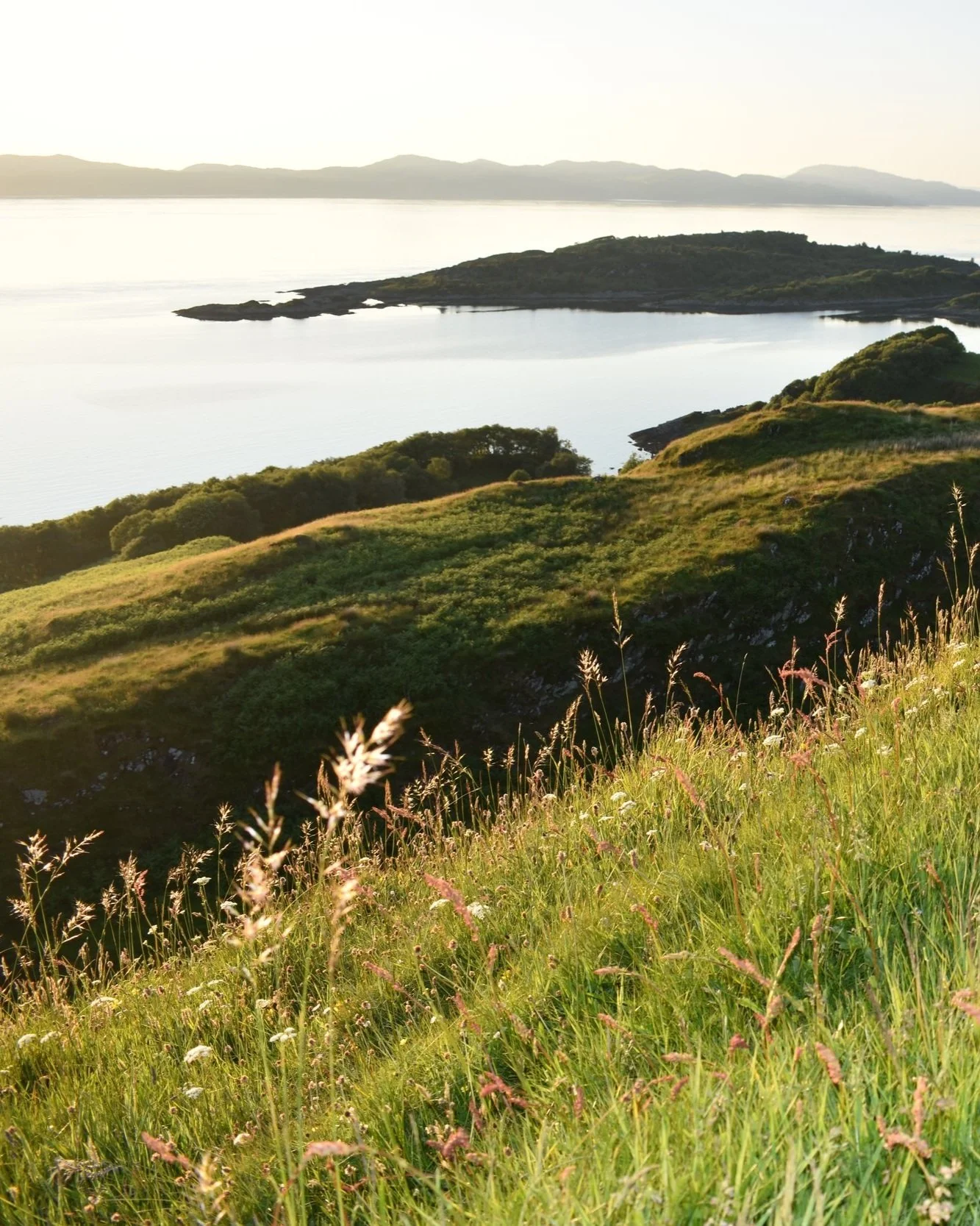 Tayvallich Estate — Highlands Rewilding