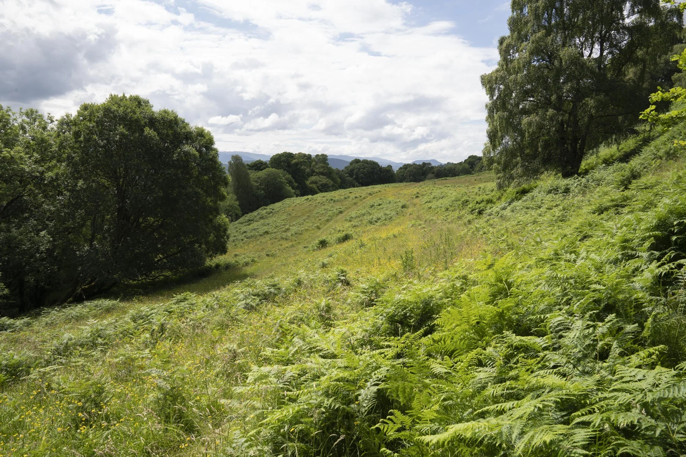 Bunloit Estate — Highlands Rewilding