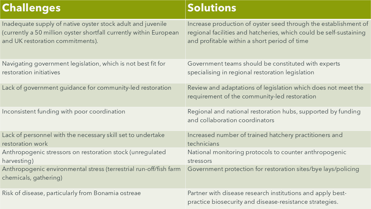 Key challenges and solutions in large scale native oyster restoration ...