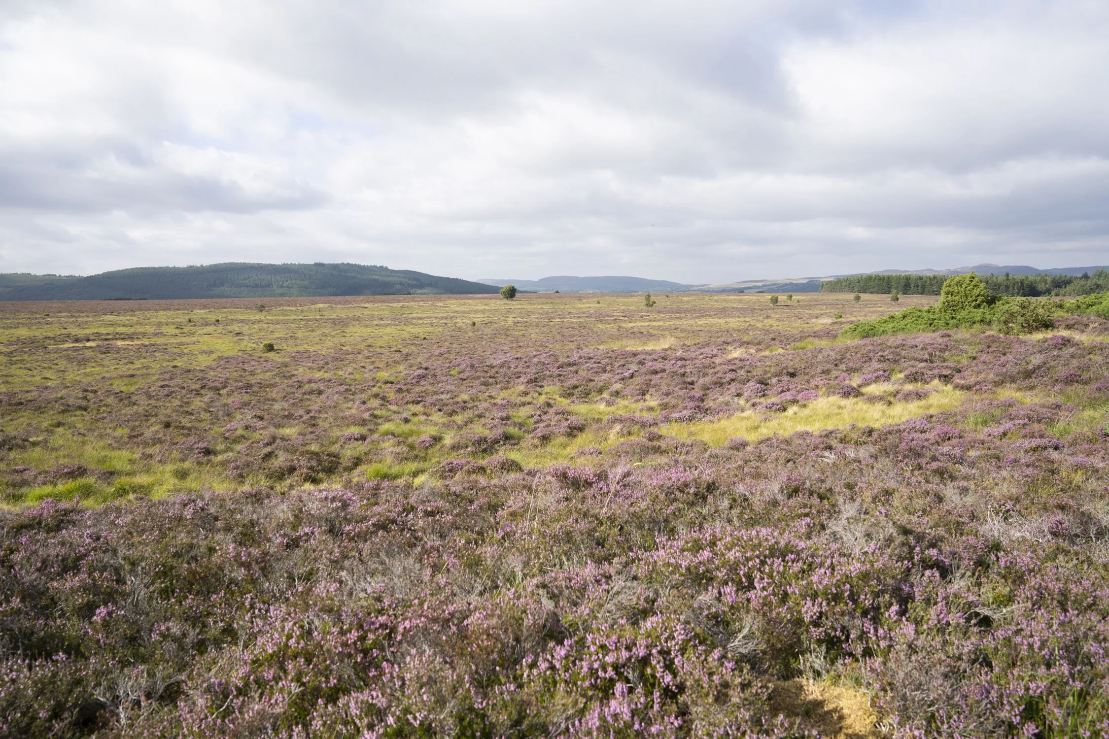 Bunloit Estate — Highlands Rewilding