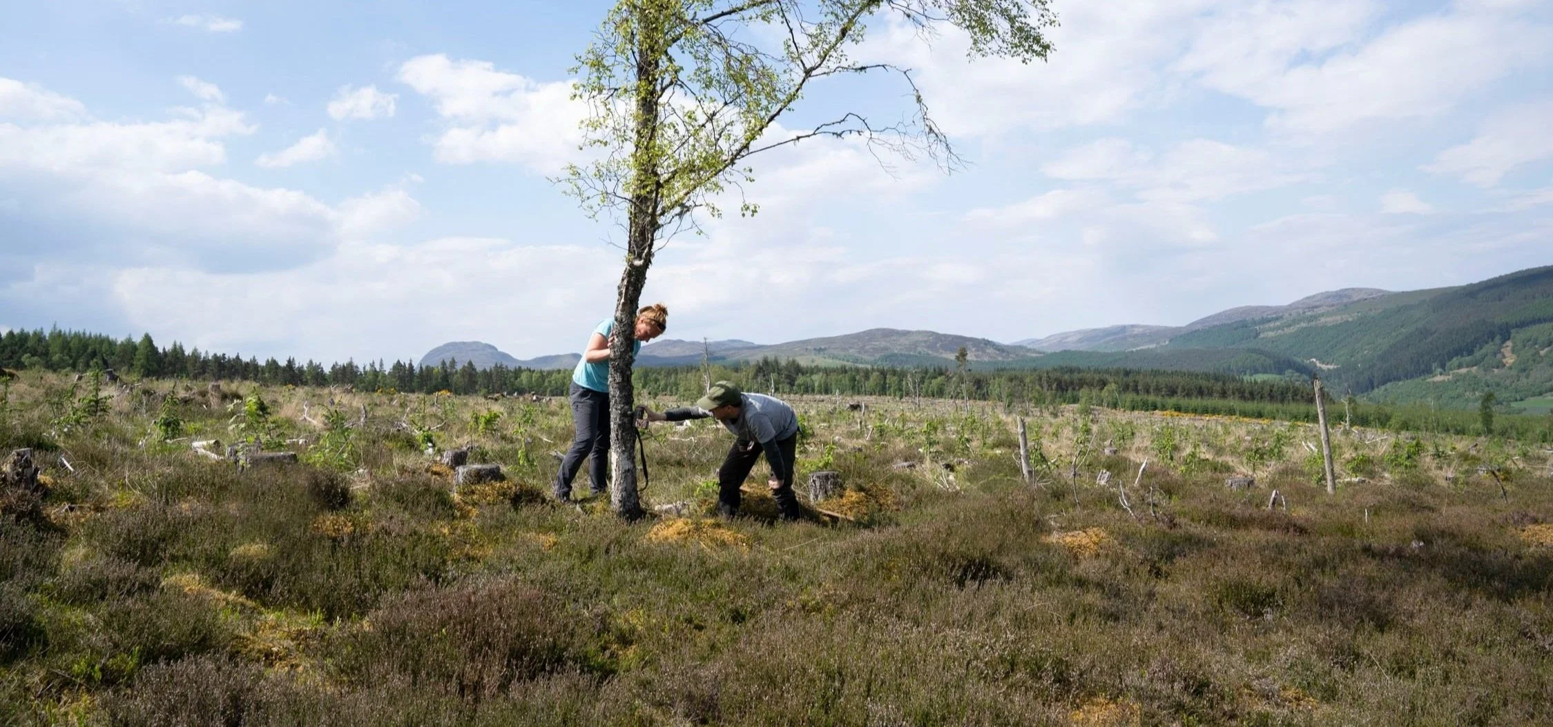 Natural Capital Services - Biodiversity and carbon acquisition and analysis for landowners ...