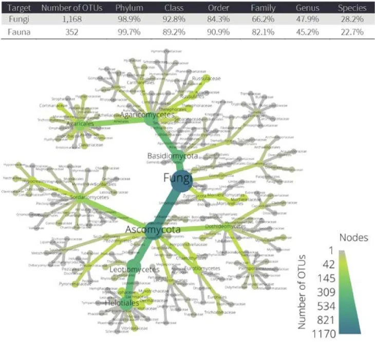 OSPREY Natural Capital Services and Partnerships — Highlands Rewilding