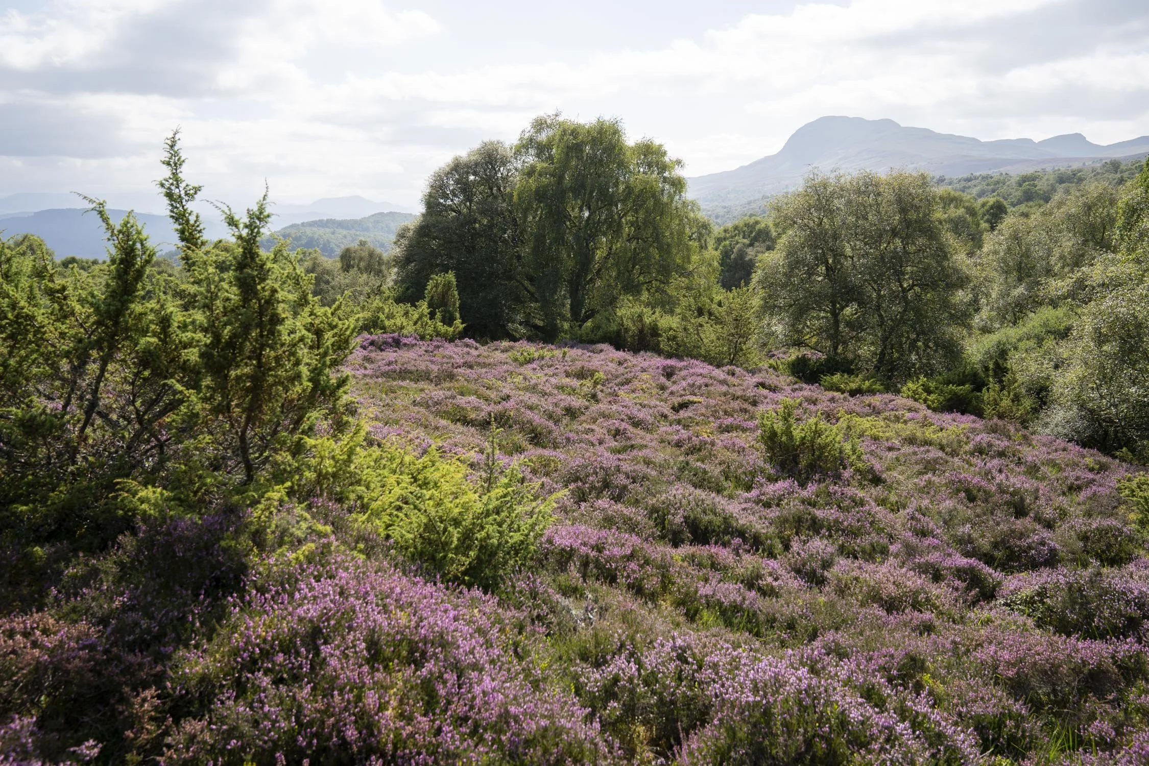 Bunloit Estate — Highlands Rewilding