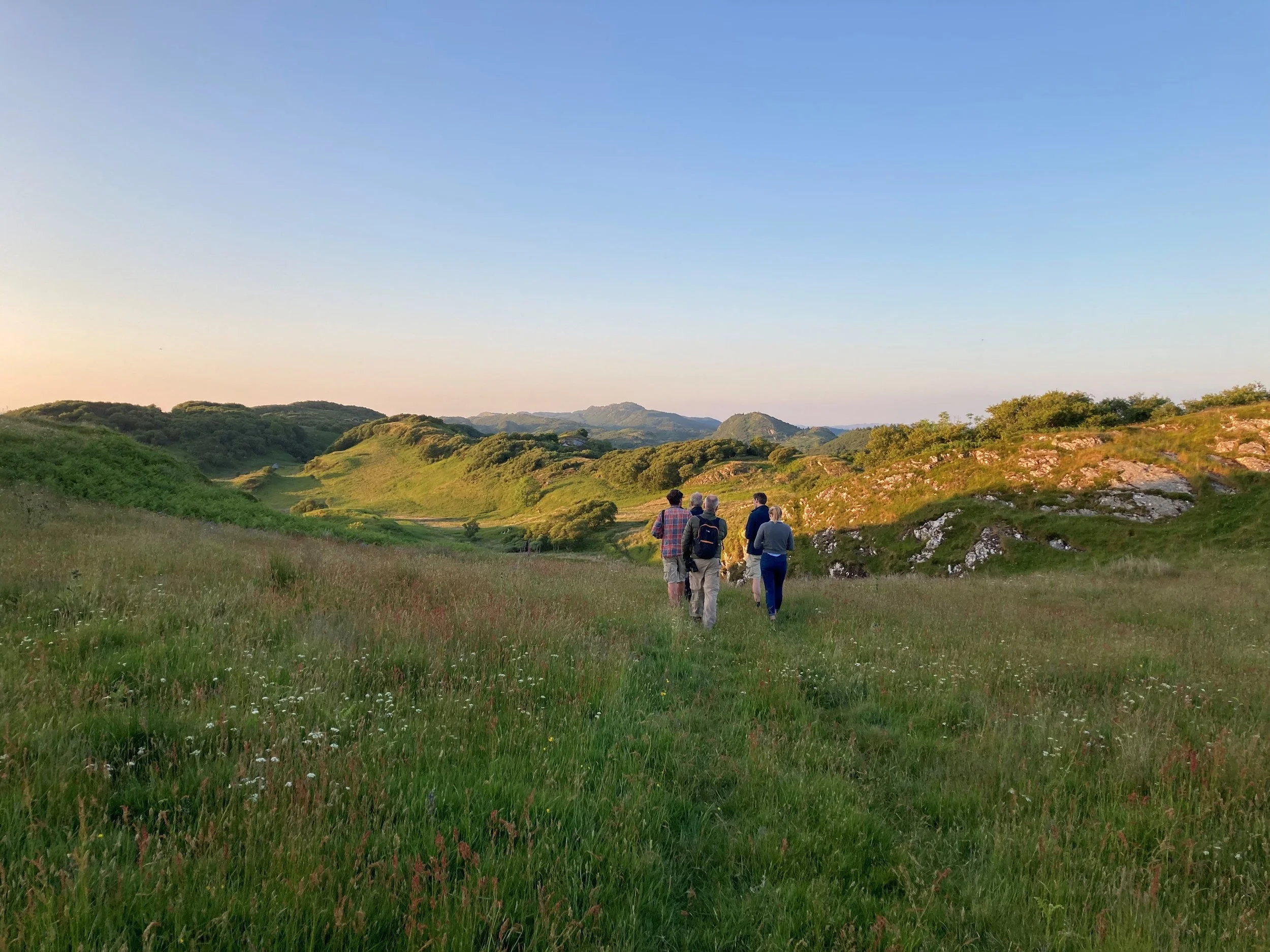 Tayvallich Estate — Highlands Rewilding