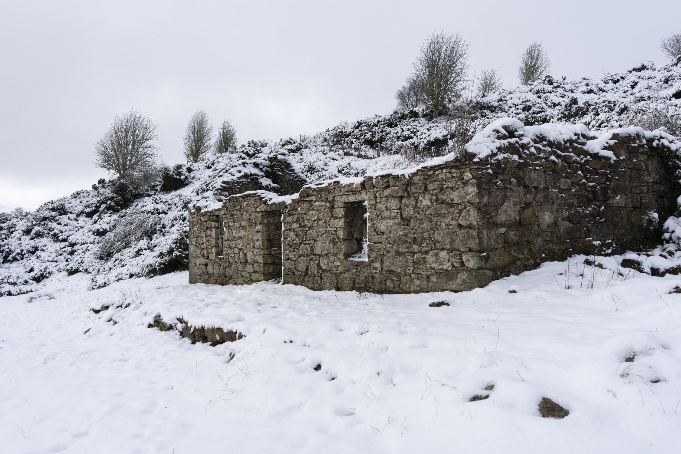 Bunloit Estate — Highlands Rewilding